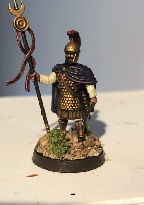 Victrix Limited | Warriors Of Carthage, 28 mm Scale Model Plastic ...